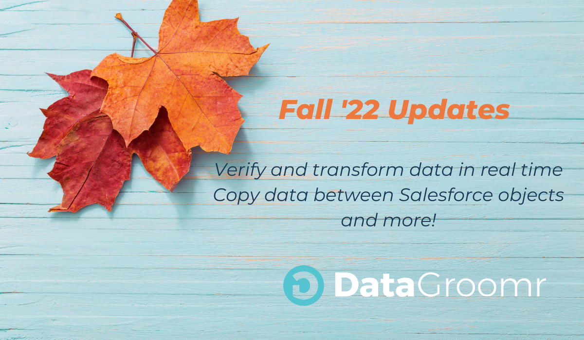Fall ’22 Updates: Copy Data between Salesforce Objects and Verify and ...