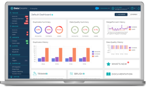 Salesforce Deduplication Made Simple I Dedupe Today with DataGroomr