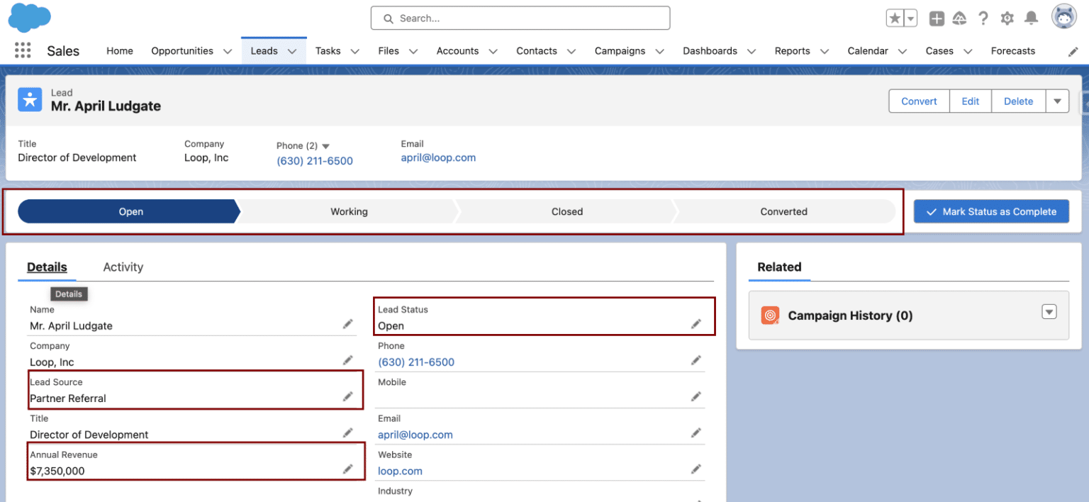 Salesforce Custom Record Type for Improving Team Performance